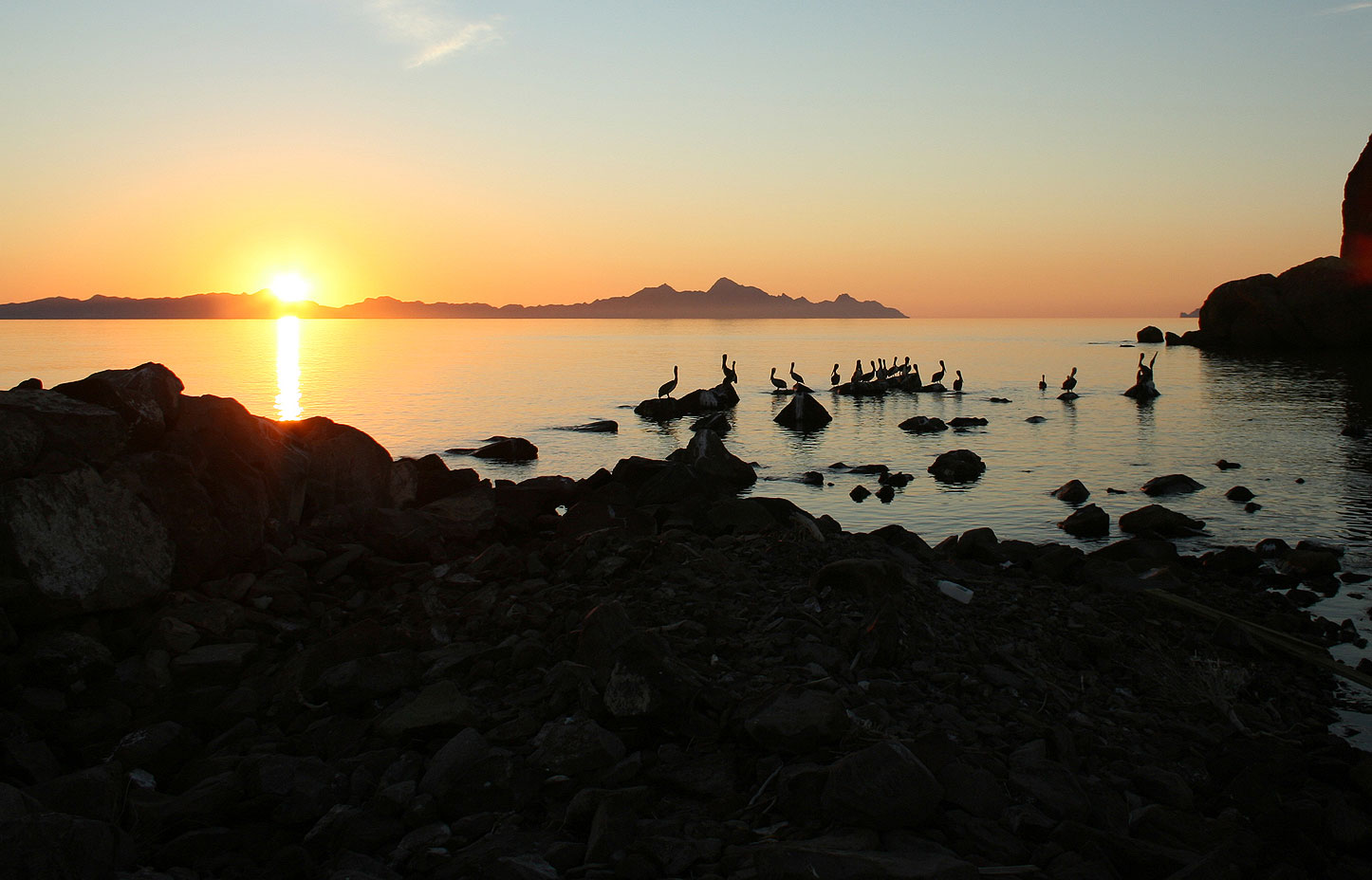 Remembering Rafe Sagarin | Terrain.org