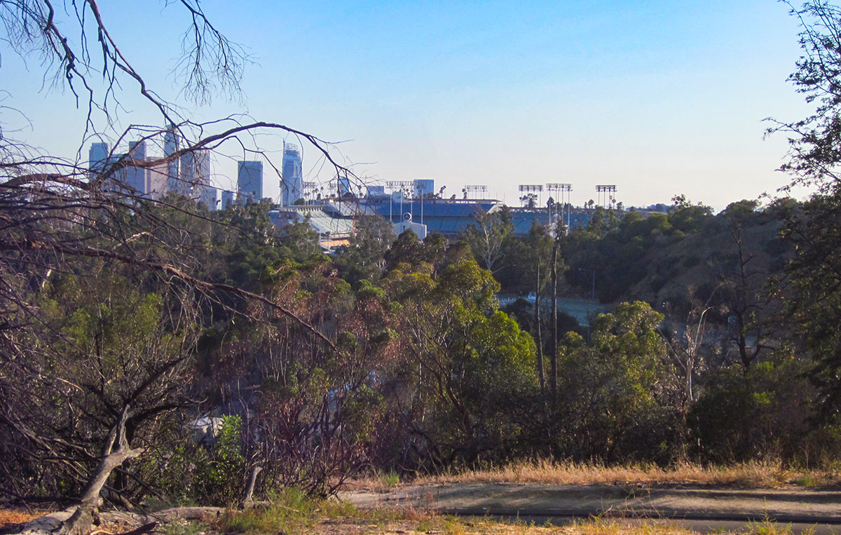 Into Los Angeles by Nick Neely • Terrain.org