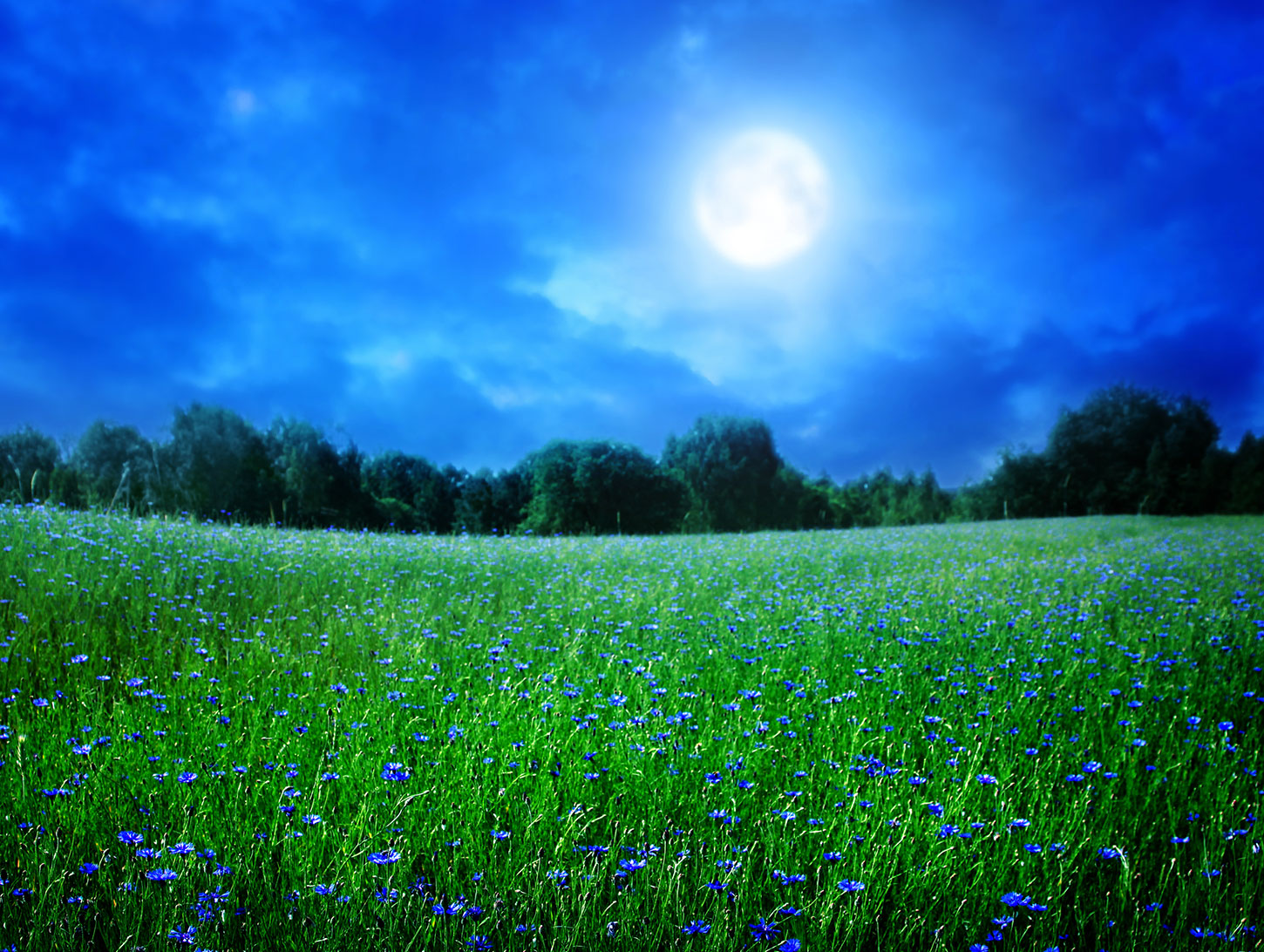 Moon - Terrain.org