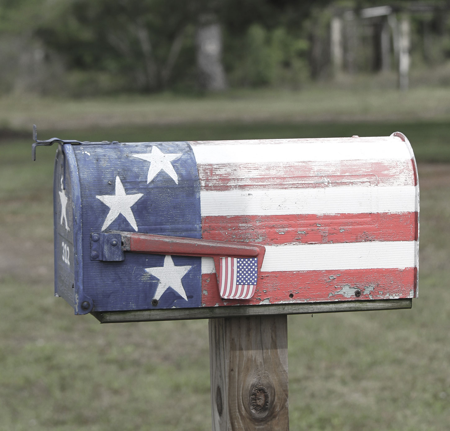 Letter to America by Rachel Edelman - Terrain.org