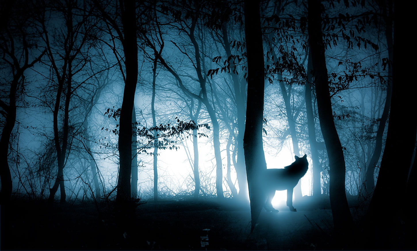A Sister Who is a Girl and Not a Wolf - Terrain.org